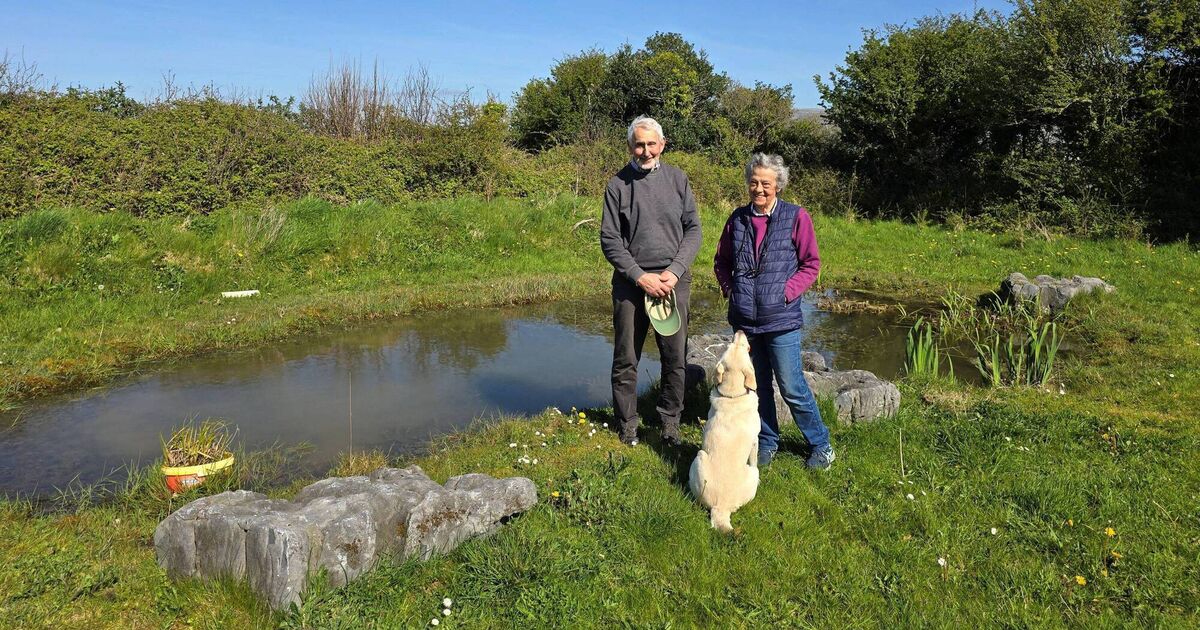 Hare’s Corner project open for 2026 applications
