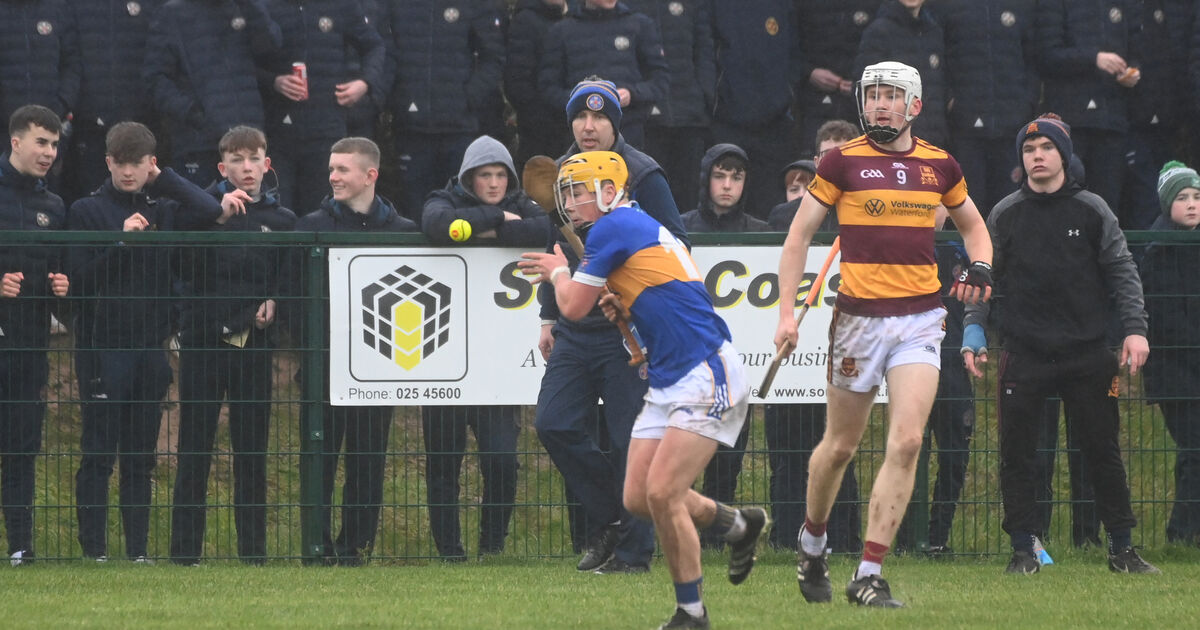 Harty Cup: James Butler goals fire Thurles into all-Tipp semi-final