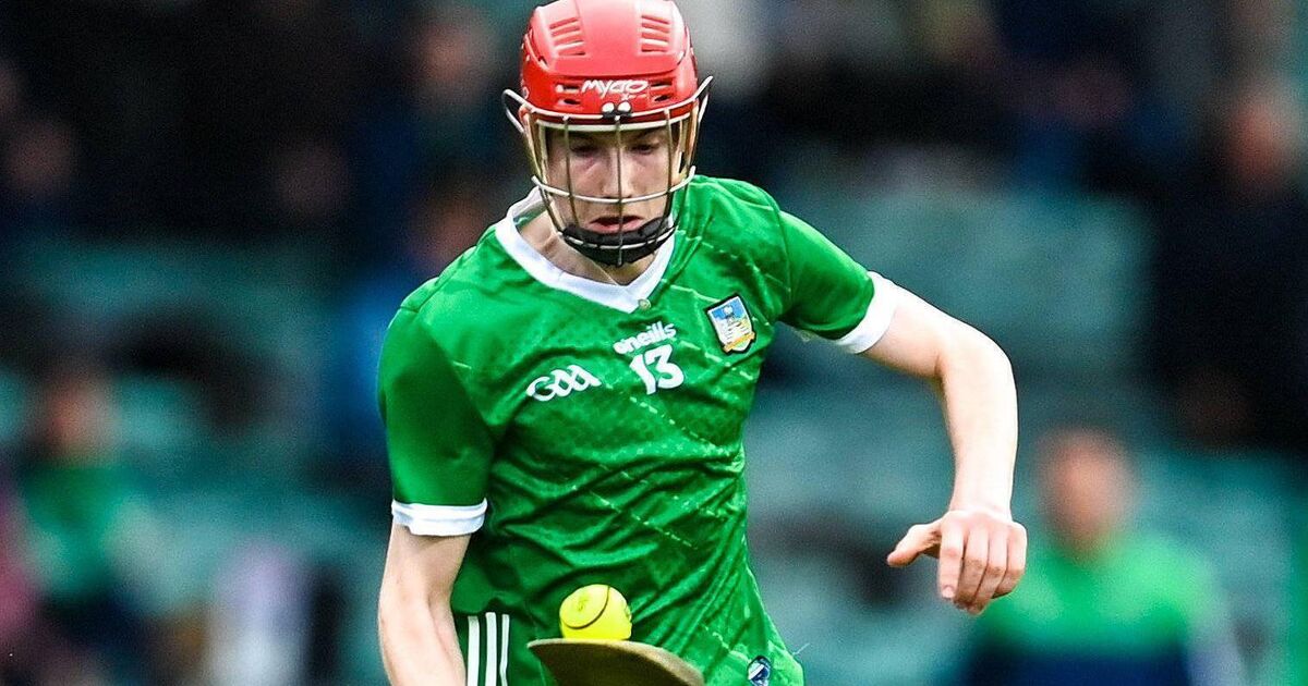 O'Farrell goes goal crazy as Mary I open Fitzgibbon campaign with ...