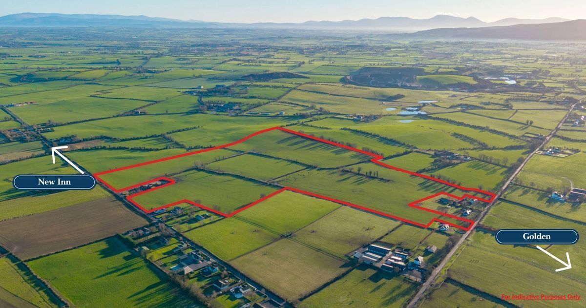 70-acres in the Golden Vale expected to fetch at least €1m
