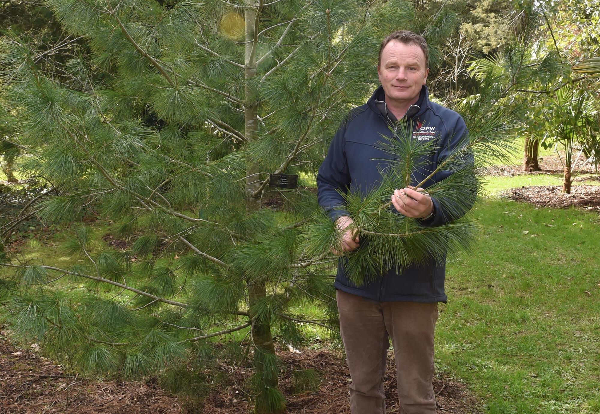 Peter Dowdall pays tribute to Seamus O'Brien, a conservationist ...