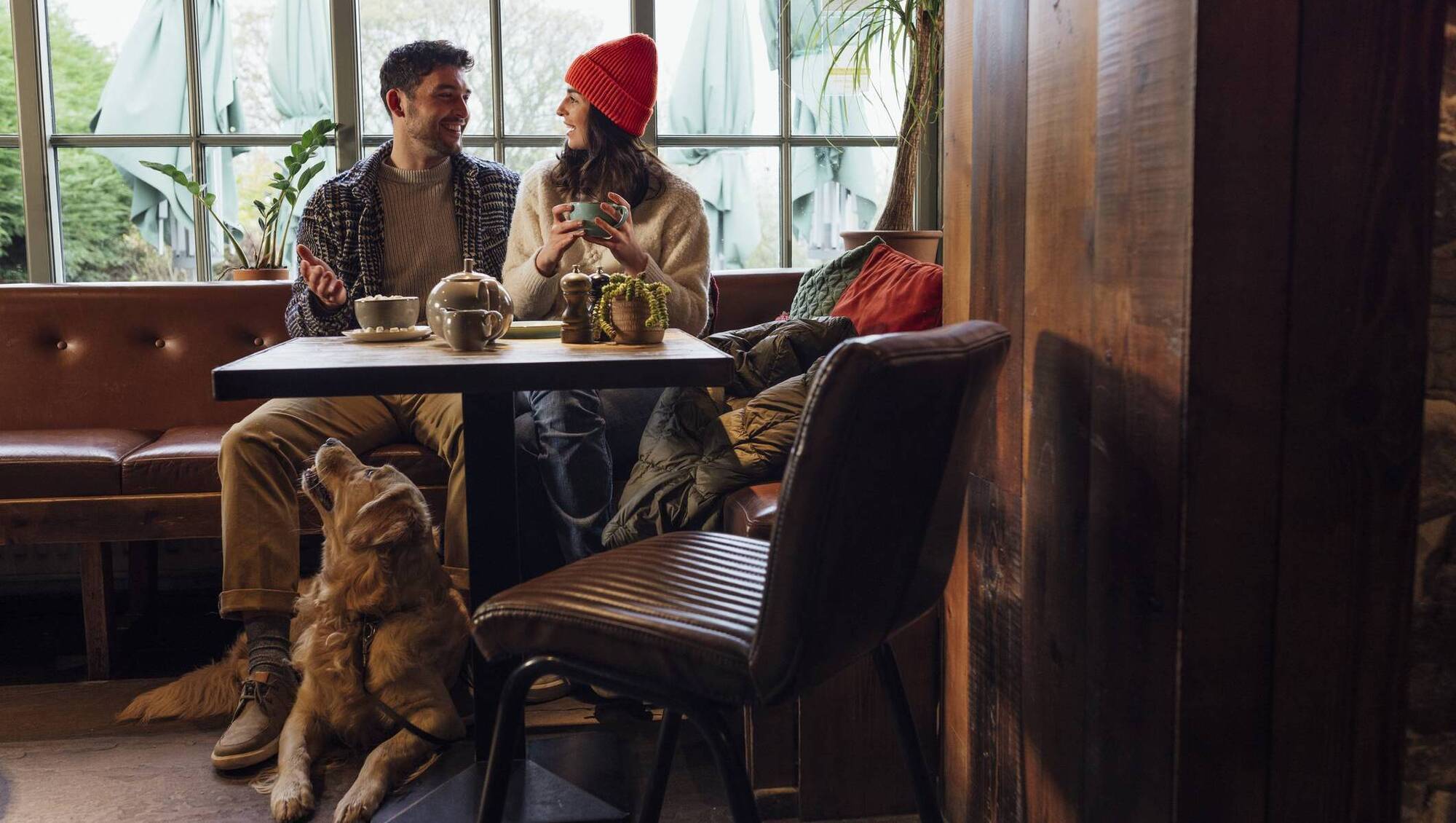 Bringing your dog to the pub is barking mad