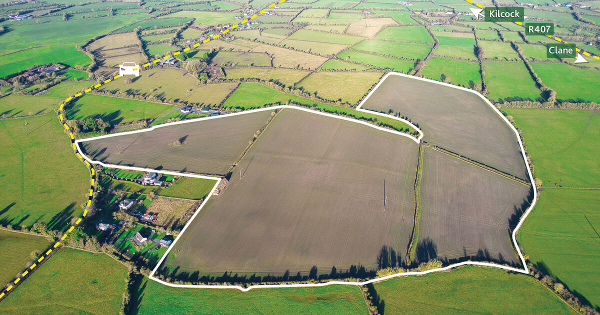 Pristine Kildare farm seeking in excess of €19k/acre