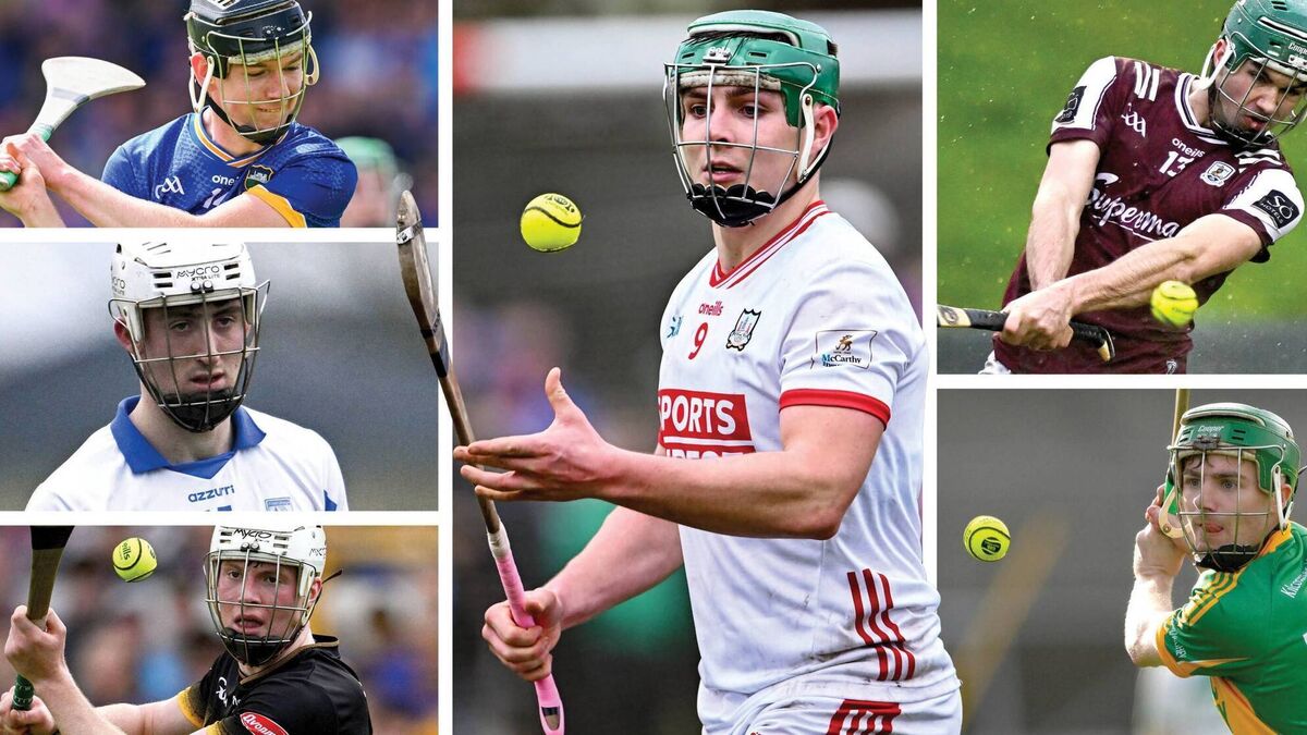 Spring signs: County-by-county guide to Hurling League Division 1A