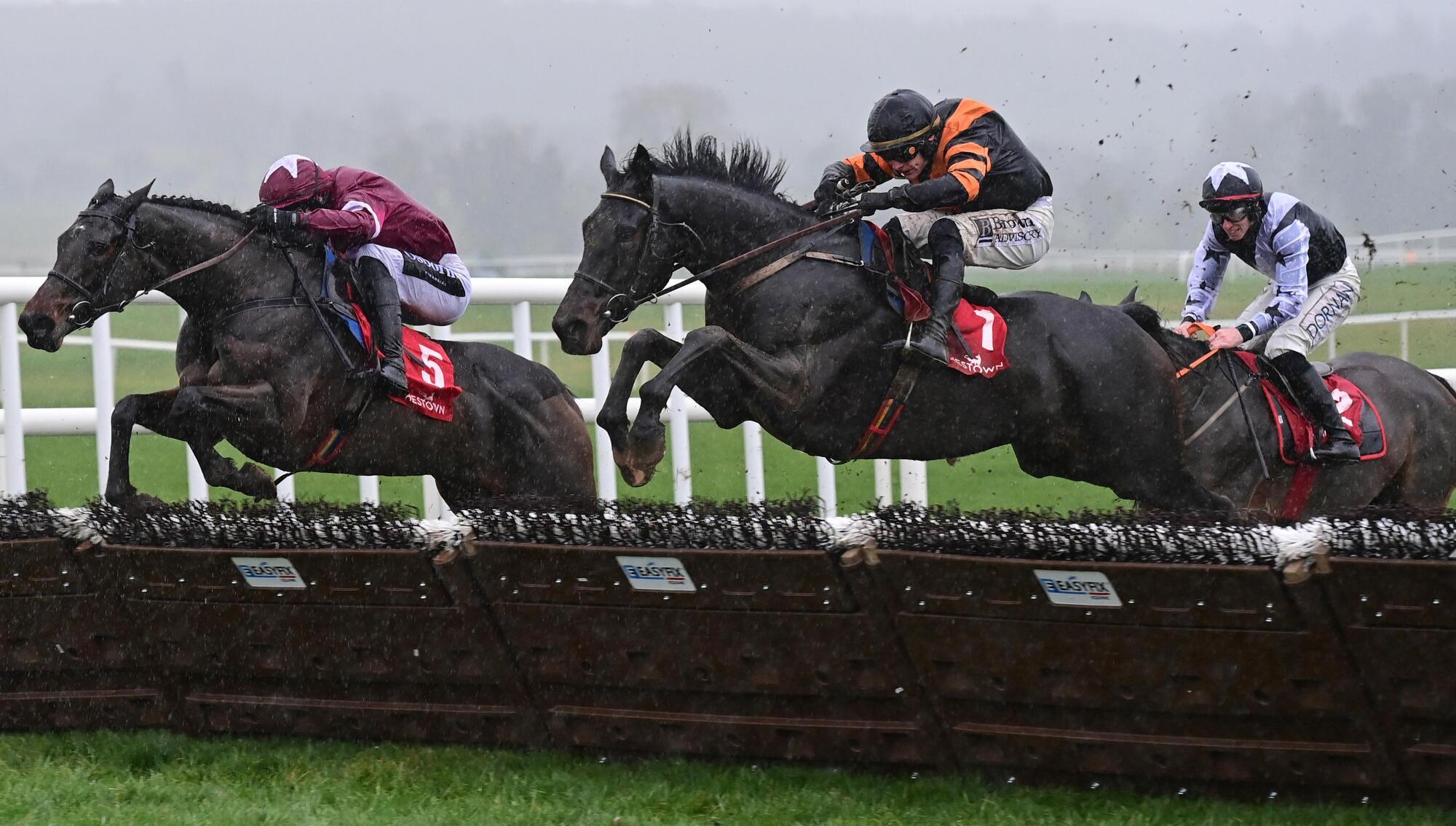 Blue Velvet should prove tough nut to crack