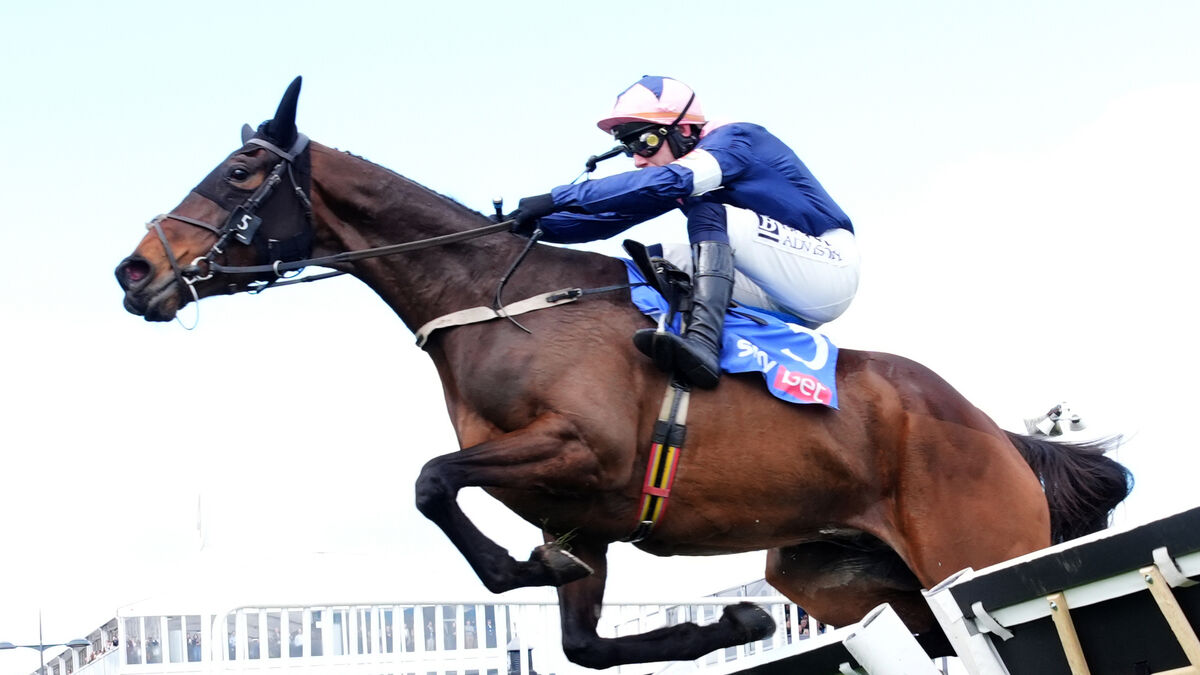 Kopek Des Bordes to miss DRF and head straight to Cheltenham - Aman ...