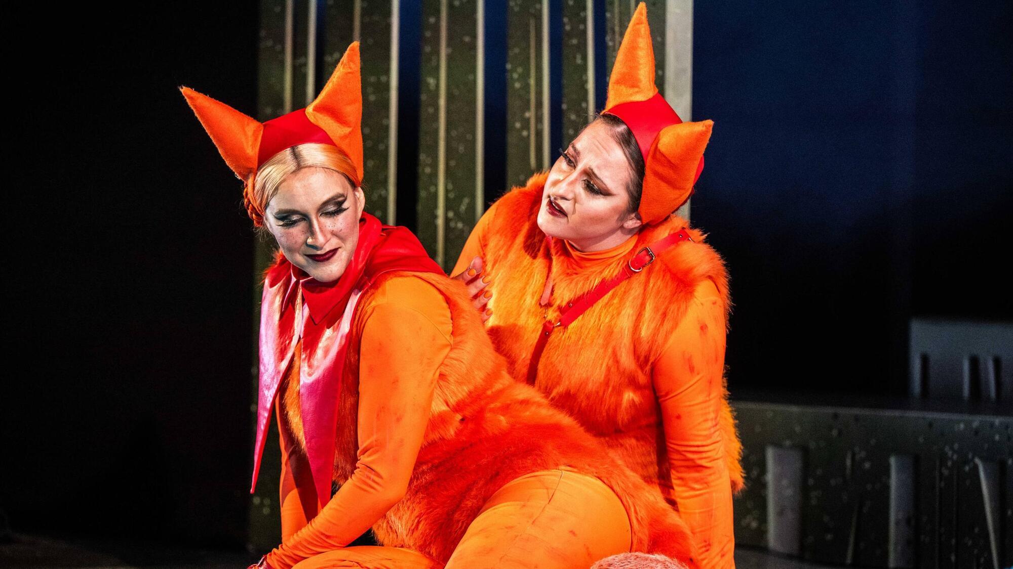 Opera review: Cunning Little Vixen provides a lot of enjoyment in Tralee