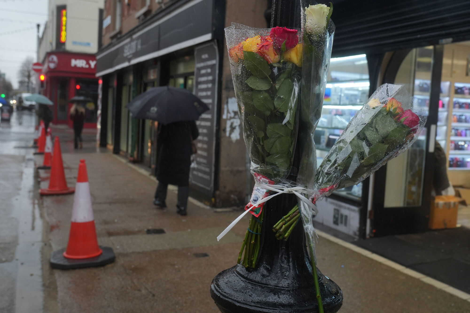 Victim of fatal Dublin bus crash named locally as garda investigation ...