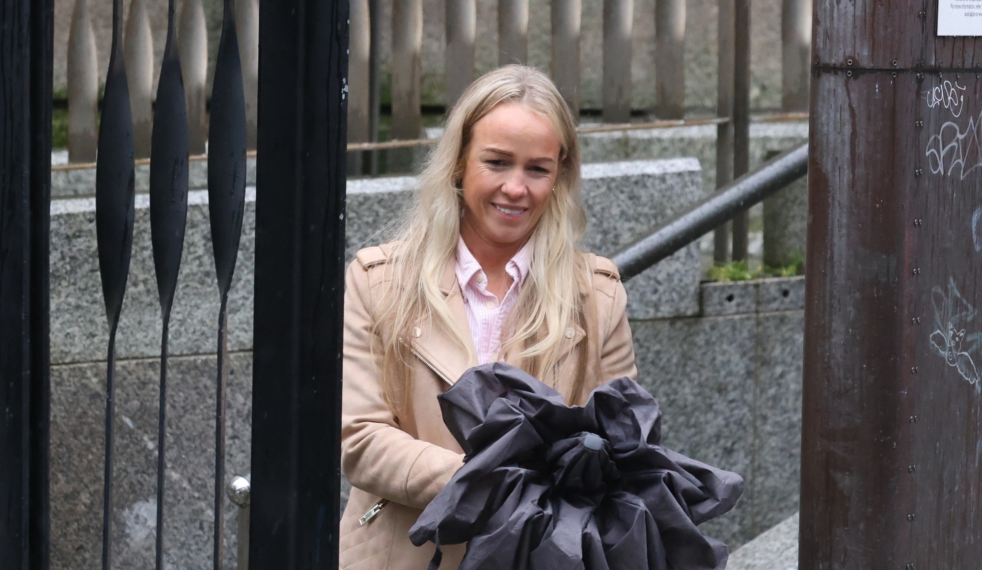 Garda printed off allegedly concealed Pulse documents for long-term ...