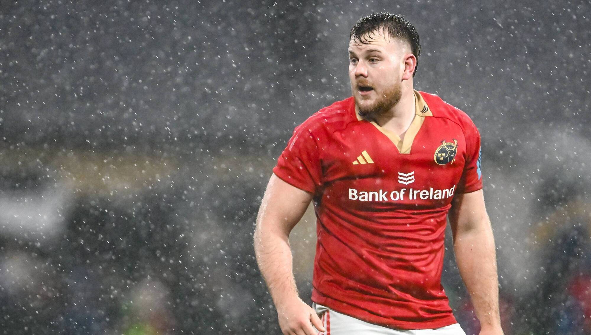 Year after Munster exit, Scott Buckley tearing it up with Ealing
