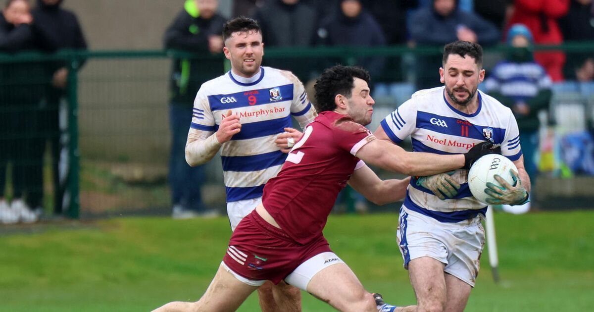 Cromane prove too strong for dogged Ballyphehane in Munster junior B ...