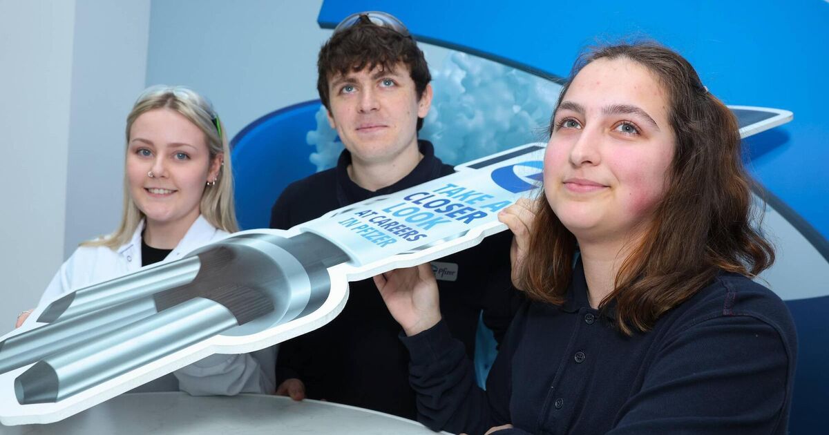 Pfizer launches recruitment drive for apprentices in Cork, Dublin, and ...