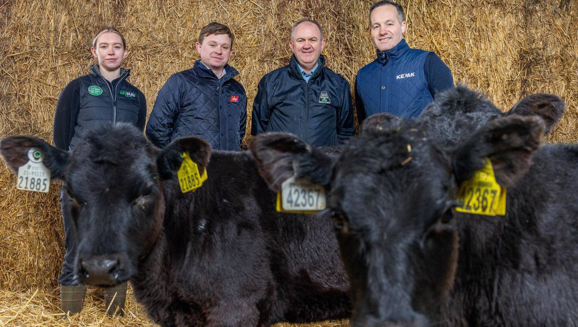 Certified Irish Angus Group, ABP and Kepak announce new bonuses